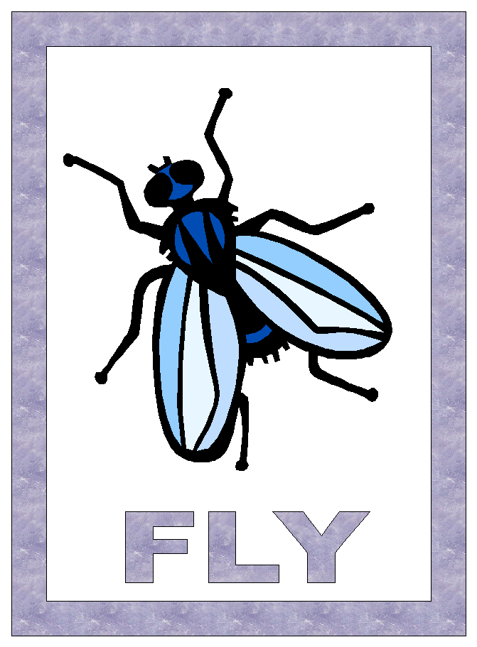 Letter F Animal Coloring Pages