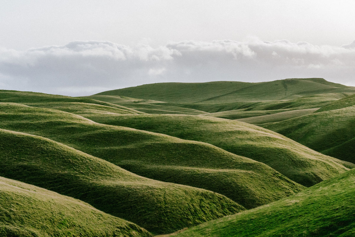 Online Jigsaw Puzzle Rolling Hills Rolling s